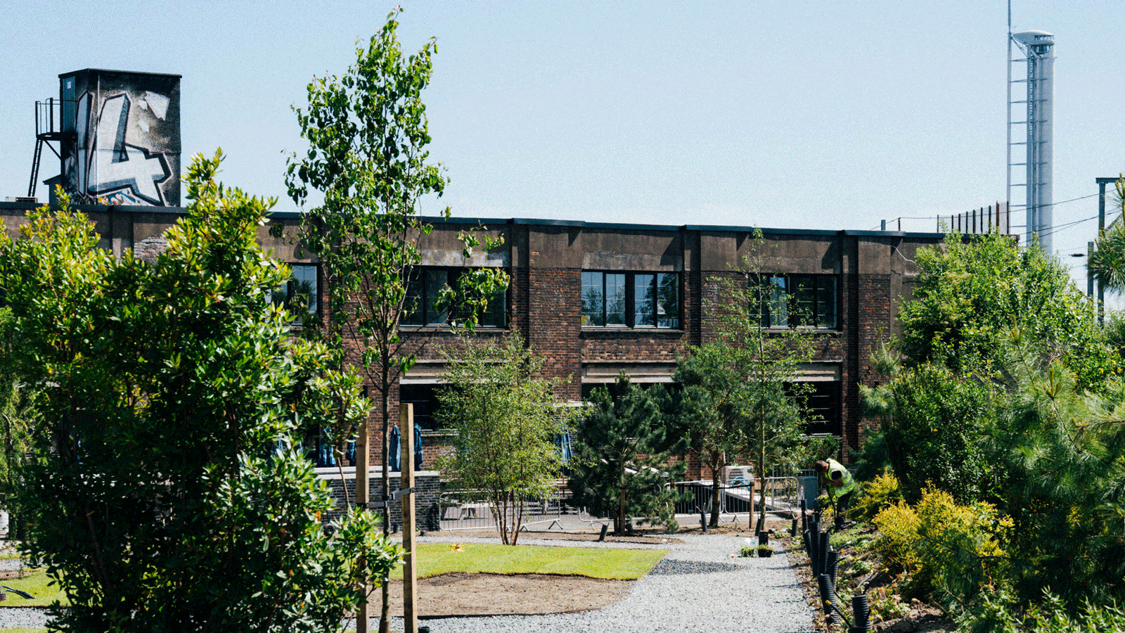 SWG3 SWG3 announces new public garden